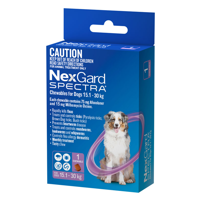 Buy NexGard Spectra Purple Chew For Large Dogs (15.1-30kg) - Single ...